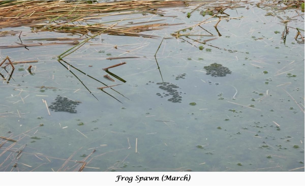 Visit Settle - Nature